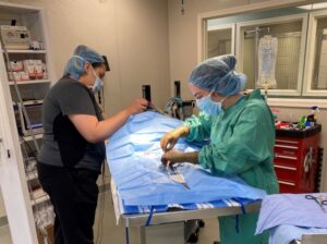 Our Team - Mount Airy Veterinary Associates - Maryland Veterinarians