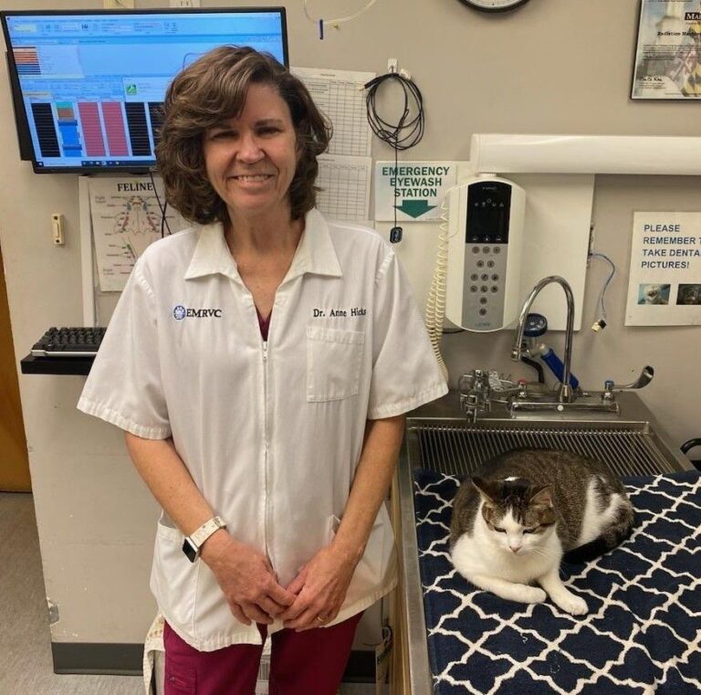 Our Team – Mt. Airy Veterinary Associates — Mt. Airy Veterinarian ...